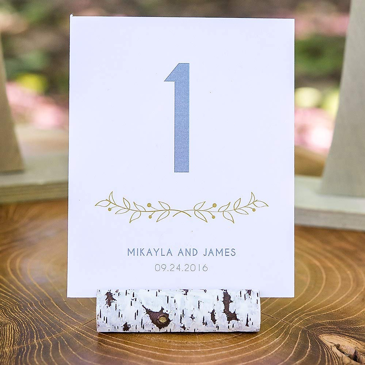 WEDDINGSTAR Faux Birch Log Card Holders (6)