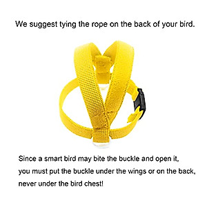 VANFAVORI Bird Harness with Buckle Clip and a Leash, Easy to Wear for Bird Parrots Cockatiel S Size Weight 85-105 Grams, Yellow