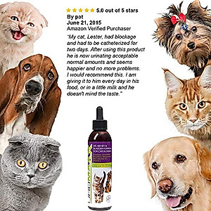 UroMAXX Urinary Tract, Kidney & Bladder Formula for Cats and Dogs, 6 oz Bottle. Premium Pack