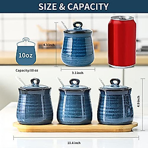 Hasense Porcelain Condiment Jar,10oz Spice Container with Lid Spoon and Bamboo tray,Small Salt Sugar Pepper Seasoning Pots Box Set of 3,Ceramic Condiment Container for Home kitchen Counter（Blue）