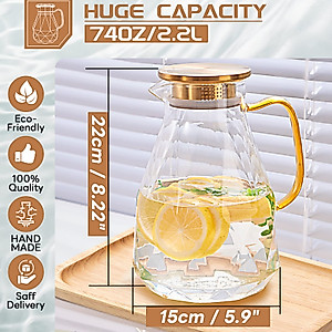 Yirilan Glass Pitcher,74oz/2.2 Liter Water Pitcher with Lid,Beverage Serveware,Iced Tea Pitcher,Water Carafe with Handle,Heat Resistant Borosilicate Water Glass Jug（with Mixing Spoon and Cup Brush）