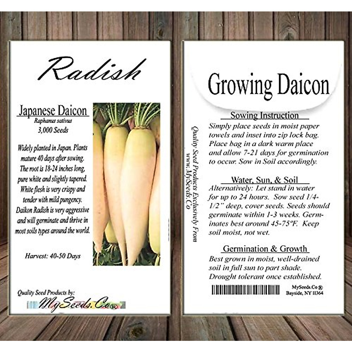 Big Pack - (3,000) Japanese Daikon - Daikon Radish Seeds - Japanese Radish - Non-GMO Seeds by MySeeds.Co (Big Pack - Daicon Radish)