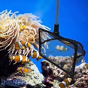 FISH PROS Fine Mesh Fish Tank Net with Long Handle – Aquarium Fish Net with Extendable 24-inch Long Handle – Fish Tank Aquarium Accessories