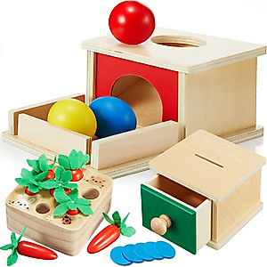 Yunsailing 3 Set Montessori Toys Object Permanence Box with Tray Three Balls Coin Box with Five Coins Carrots Harvest Developmental Game Wooden Toys Montessori Baby Toys for Infant