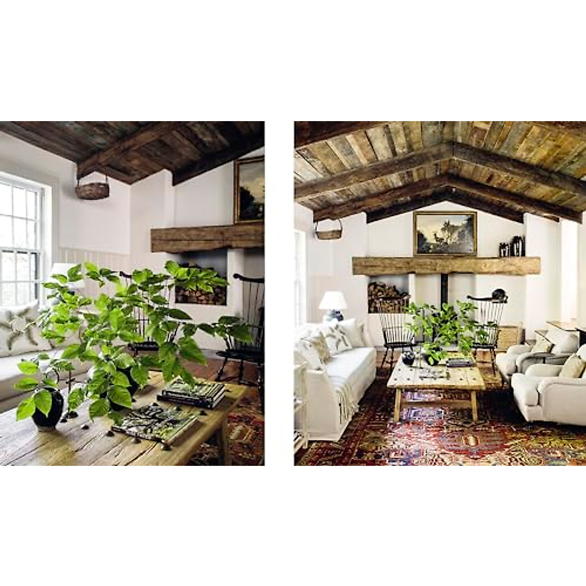 Down to Earth: Laid-back Interiors for Modern Living