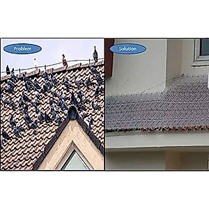 MorningVale -Bird Spike Pigeon Control Spike Set of 50 Pieces