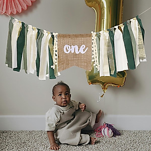 Nydotd 1st Birthday Highchair Banner Baby First Birthday Party Banner Decorations Wild Jungle Theme Safari One Year Birthday High Chair Banner Garland for Boy Baby Shower Supplies