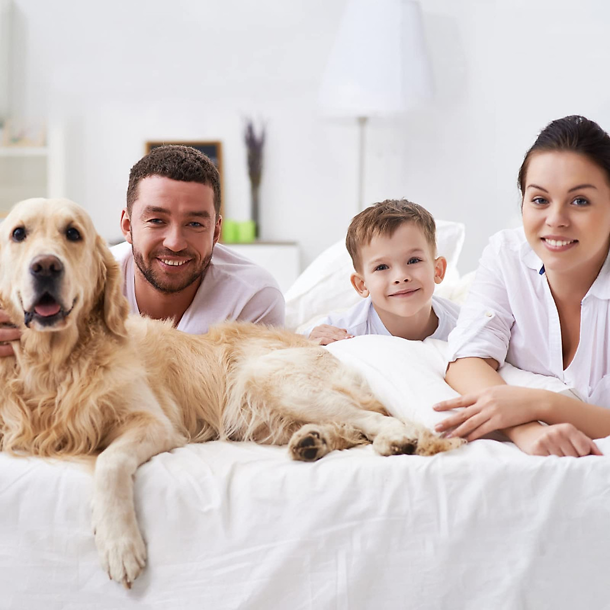 HOMEIDEAS 6 Pieces Lightweight Easy Care Microfiber Bed Sheets Set(Queen, Terracotta), Super Soft & Fade Resistant, 15 inches Deep Pocket 1800 Thread Count Bedding