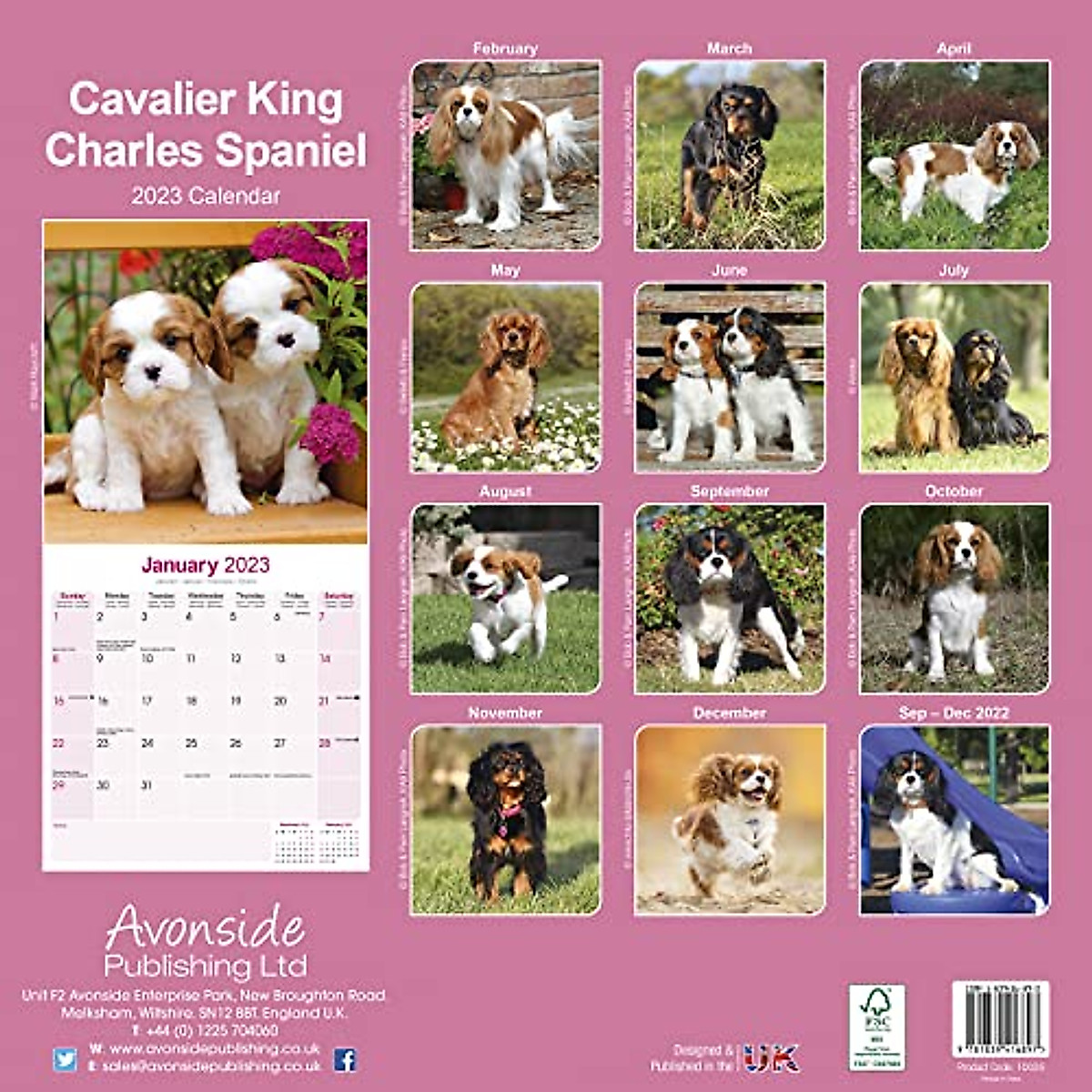 Cavalier King Charles Spaniel Calendar - Dog Breed Calendars - 2022 - 2023 wall calendars - 16 Month by Avonside