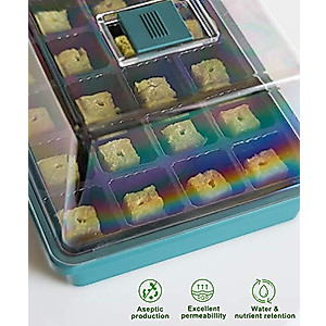 BIOMAND 1.2” Rockwool Starter Plugs for Hydroponics, Rockwool Grow Cubes, 3 Sheets of 36 Plugs, 108 Plugs Total