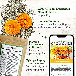 Marigold Seeds Bulk Mix - 5600+ Crackerjack Marigold Flower Seeds for Planting Outdoors - Flowers Seed for Companion Planting - Wildflower African Marigold Seeds (Tagetes erecta)