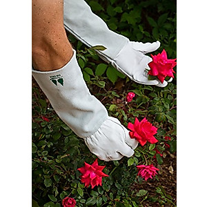 Leather Gardening Gloves by Fir Tree. Premium Goatskin Gloves With Cowhide Suede Gauntlet Sleeves. Perfect Rose Garden Gloves. Men's and Women's Sizes. M-8 (See Size Chart Photo)
