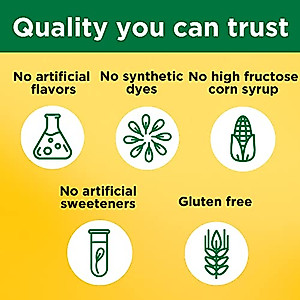 Nature Made Iron 18 mg per Serving with Vitamin C, Dietary Supplement for Red Blood Cell Support, 60 Gummies, 30 Day Supply