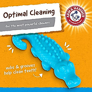 Arm & Hammer For Pets Nubbies Dental Toys Gator Dental Chew Toy for Dogs | Best Dog Chew Toy For Moderate Chewers | Reduces Plaque & Tartar Buildup Without Brushing, Gator