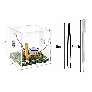 AWXZOM Spider Terrarium, Acrylic Reptile Breeding Box Jumping Spider Enclosure with Dropper Tongs Snail cage, Cricket Enclosure arboreal Tarantula Habitat