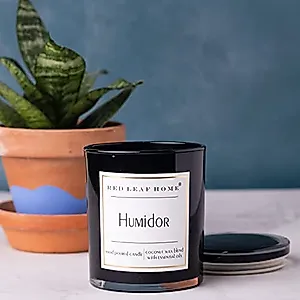 Red Leaf Home | Humidor Candle | Glass Lid, Medium | Aromatherapy | Signature Collection | 11oz Jar