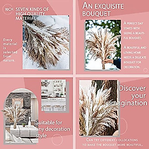 86PCS Natural Dried Pampas Grass Bouquet,Boho Home Decor Bouquet, Phragmites Dried Flowers,Bouquet for Wedding Floral Arrangements Home Decorations