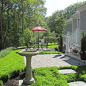 Outsidepride Perennial White Miniclover® Lawn Clover & Ground Cover Seeds - 1 LB