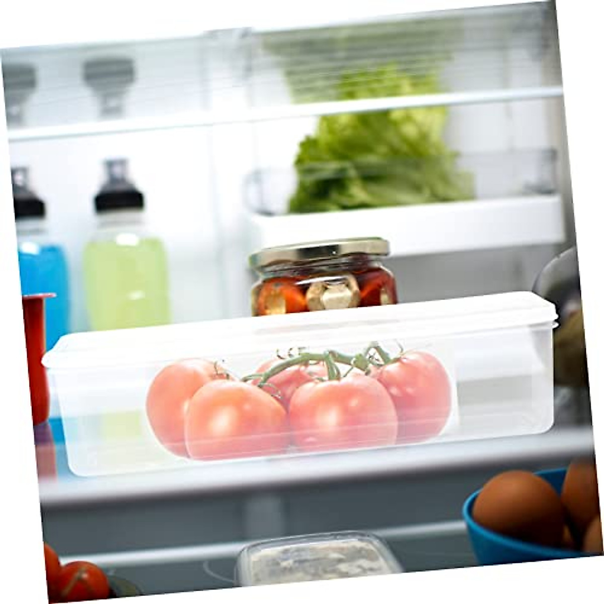 Cabilock 3pcs Transparent Noodle Box Pp Agricultural Products Food Grade