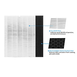 WOCASE HR900 Filter Replacement Filter T Set Compatible with Winix HR900 Ultimate Pet Air Purifier, True HEPA Filter+ Activated Carbon Filter,Part Number 1712-0093-00/Filter T&1712-0094-00/ Filter U