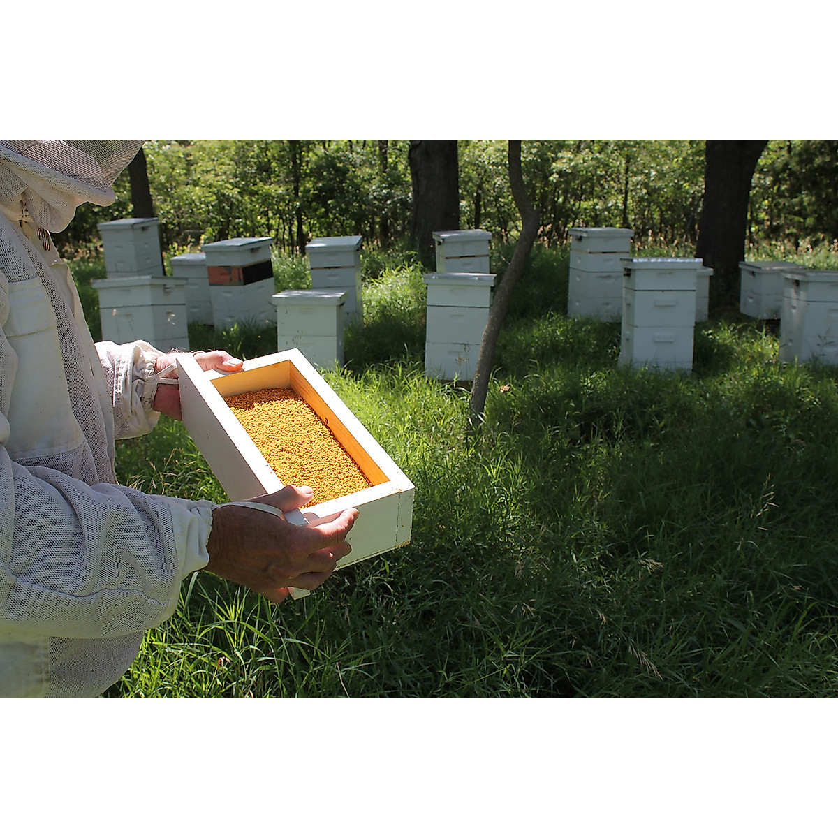 Fresh Bee Pollen Raw Nebraska Bee Pollen 1lb Jar