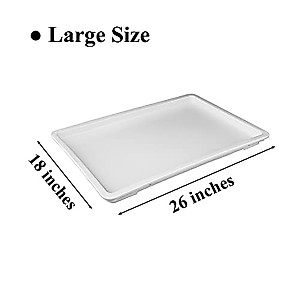 Caspian White Lid for Plastic Pizza Dough Box Covering,1 Piece(Lid)