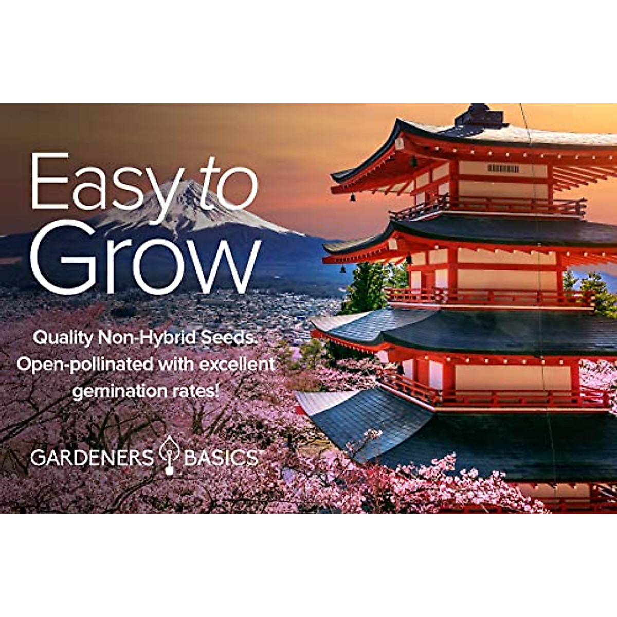 Asian Vegetable Seeds for Planting 8 Packets Bok Choy, Michihili (Napa) Chinese Cabbage, Tatsoi, Onion, White Radish, Serrano, Eggplant for Your Non GMO Heirloom Vegetable Garden by Gardeners Basics