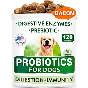 Allergy Relief + Dog Probiotics Chews Bundle - Itchy Skin Relief + Upset Stomach Relief - Omega 3, Pumpkin, Enzymes, Prebiotics - Seasonal Allergies + Improve Digestion - 120 + 120 Chews - Made in USA