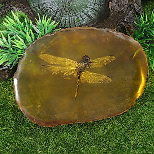Amber,Artificial Amber Specimen Pendant Butterfly Scorpions Insects Amber Stone Ornament for Collection(Dragonfly)