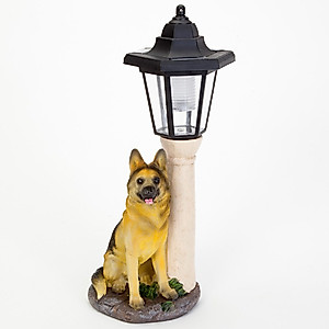 Bits and Pieces-Solar Shepherd Lantern-Solar Powered Garden Lantern - Resin Dog Sculpture with LED Light