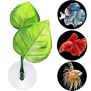 Lystaii 4pcs Betta Fish Leaf Pad with Suction Cup, Betta Bed Leaf Hammock Double Leaf Design Lightweight and Realistic Resting Spot Breeding Decoration Comfortable Laying Hiding Habitat