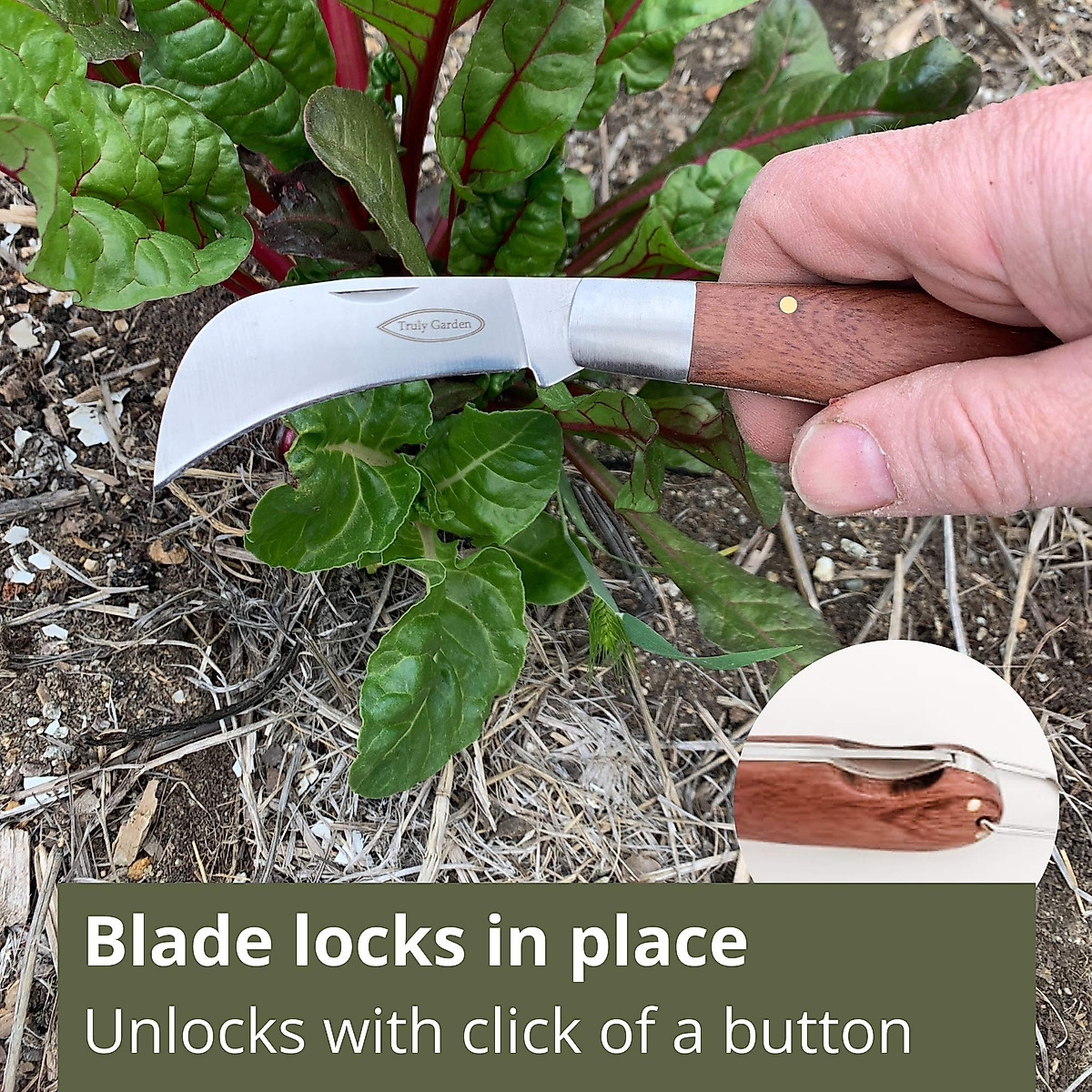 Folding Garden Knife. This Hawkbill Blade is Curved Making it Great for Hundreds of Uses. Not Just a Great Gift for a Gardener.