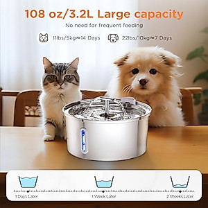 ValueTalks108oz/3.2L Stainless Steel Cat Water Fountain, Automatic Pet Water Fountain Dog Water Dispenser with Water Level Window, Double Outlet for Cats and Dogs Inside, Ultra-Quiet & Easy Cleaning