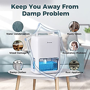 BREEZOME 60 OZ Dehumidifiers for Home, Dual-Semiconductor Quiet Dehumidifier with Timer Sleep Mode Auto-Off Auto Defrost 7 Colors Light Portable Small Dehumidifiers for Bedroom, Bathroom, RV