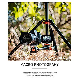 K&F Concept 94 Inch Camera Tripods 4 Section Ultra High Aluminum Professional Detachable Monopod Tripod with 360 Degree Ball Head Quick Release Plate for DSLR SLR Cameras T254A8+BH-28L (SA254T1)