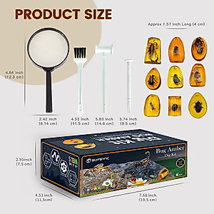 Amber Dig Kit - Excavate 9 Insects Specimens, Geology Science STEM Educational Bugs Toys for 6 7 8 9 10 11 12 Years Old Boys Girls, Gifts for Easter Christmas Birthday Halloween