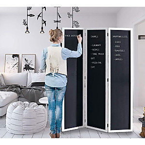 Screen Gems Chalkboard Screen Room Divider, Black