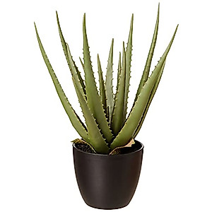 Amazon Basics Artificial Fake Agave Plant with Plastic Planter Pot , 16.9-Inch
