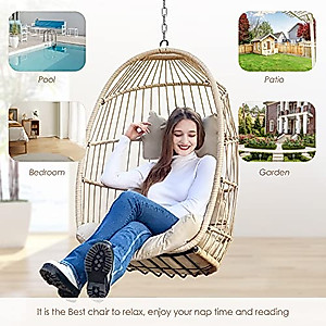 RADIATA Egg Chair Luxury Outdoor Patio Wicker Hanging Swing Egg Chairs with Water Resistant Cushions for Patio Backyard Balcony (Beige,Without Stand)