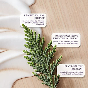 TATCHA Forest Awakening Hinoki Body Milk: Lightweight Milky Lotion to Renew Dry Skin, 132ml | 4.5 fl oz