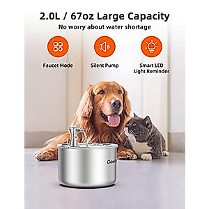 GoalMad Stainless Steel 67oz/2.0L Automatic Drinking Water Dispenser Cat Water Bowl Pet Water Fountain with LED Light & Filter for Cats, Dogs