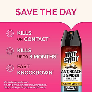 Hot Shot Ant, Roach & Spider Killer, Kills Insects Indoors and Outdoors, Kills Roaches and Listed Ants on Contact, Insecticide Spray, 17.5 Ounce (Crisp Linen)
