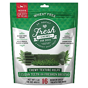 Dr. Dental Medium Fresh Chews Dental Dog Treats, Clear, 16 OZ