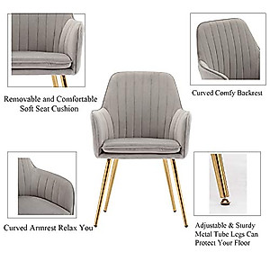 Artechworks Velvet Modern Living Dining Room Arm Chair Club Leisure Guest Lounge Bedroom Upholstered Chair with Gold Metal Legs, Gray