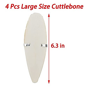 DQITJ 4 Pcs Cockatiels Cuttlebones Cuttlefish Bones for Birds Cockatiels All Parrots Lovebirds Small Conures Mynahs Toucans African Greys Parakeets Budgies Finches Canaries (6.3 inch)