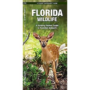 Florida Wildlife: A Folding Pocket Guide to Familiar Animals (Nature Observation North America)