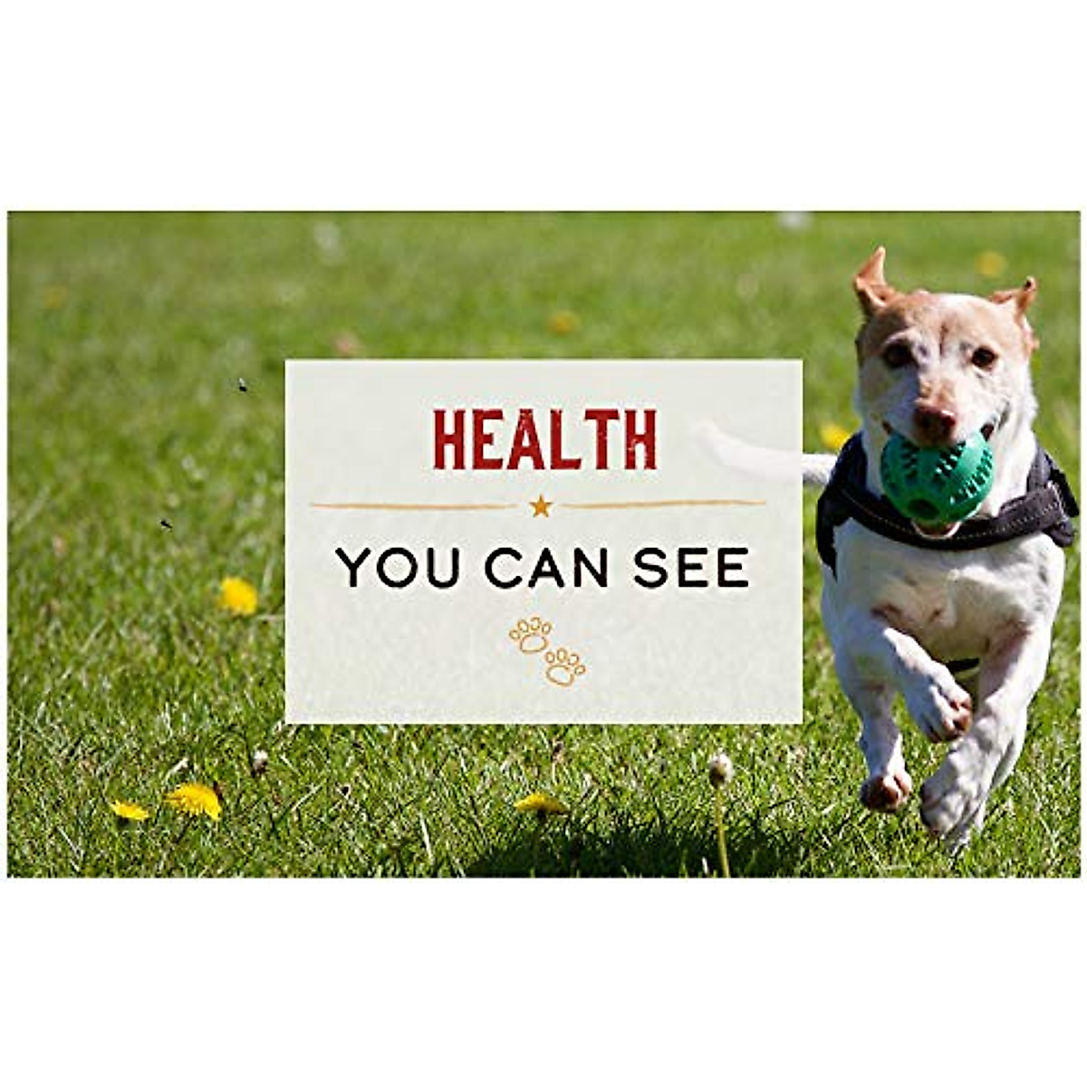 Merrick Limited Ingredient Diet Grain Free Wet Dog Food Real Lamb Recipe - 12.7 Ounce (Pack of 12)