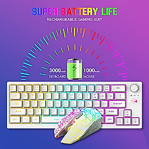 FELICON 2.4G Wireless Mini Gaming Keyboard and Mouse Combo, RGB Backlit TKL Mechanical Feel Keyboard and 7 Color Crack Illuminate Mouse, Mouse Pad for Windows, Computer, Desktop, PC, Notebook