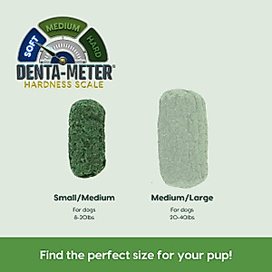 ARK NATURALS Brushless Toothpaste for Sensitive Gums, Dog Dental Chews for Small Breeds, Vet Recommended for Plaque, Bacteria & Tartar Control, Green, Mint, 4 Oz