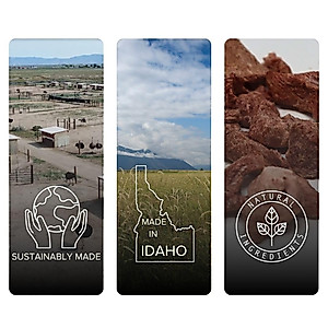 American Ostrich Farms | Ostrich Trachea Chews - All Natural Pet Treats - High in Protein and Essential Nutrients, Bag of 6-8